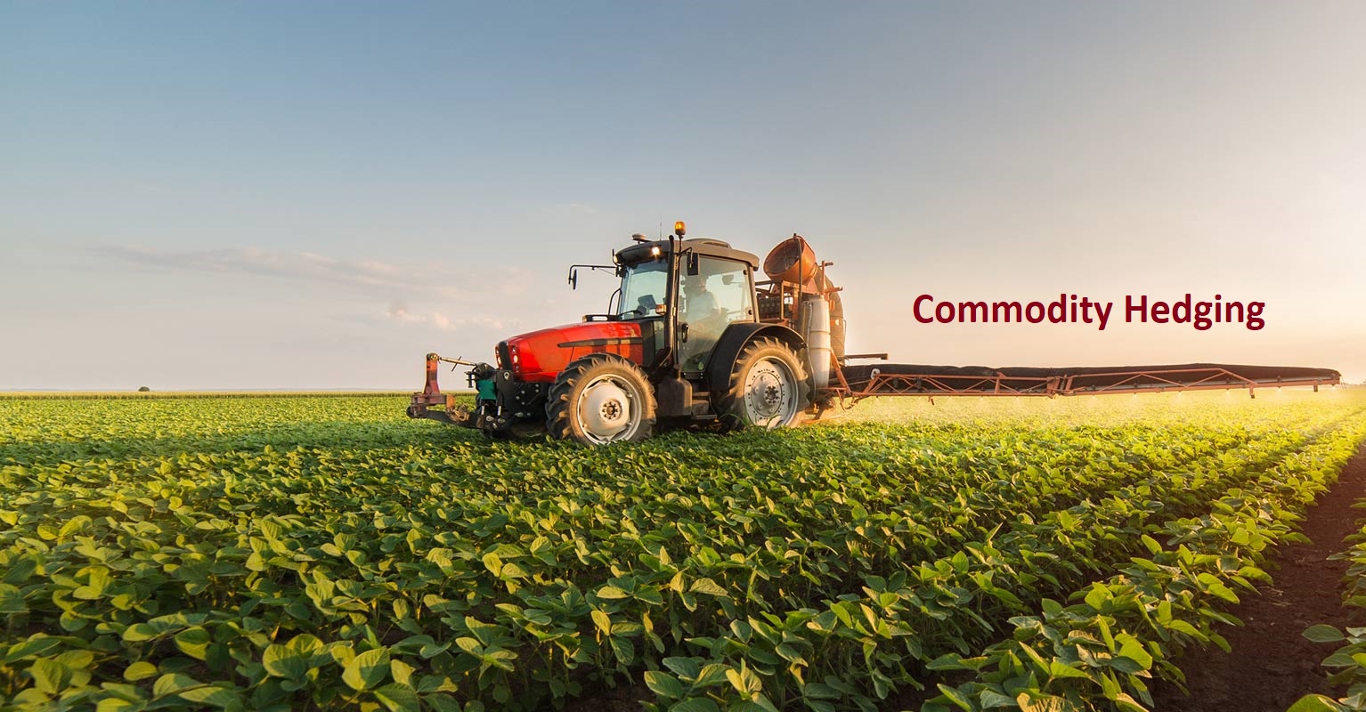 Commodity Hedging | Midas Touch Finserve LLP